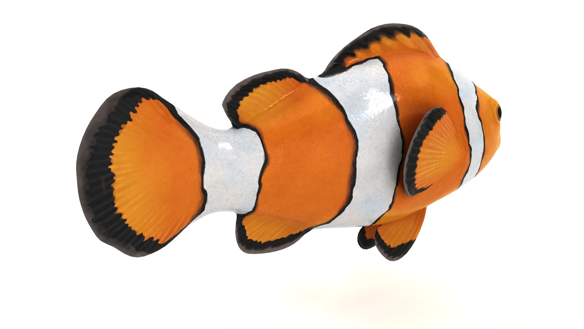 3D Clown Fish - TurboSquid 2342770