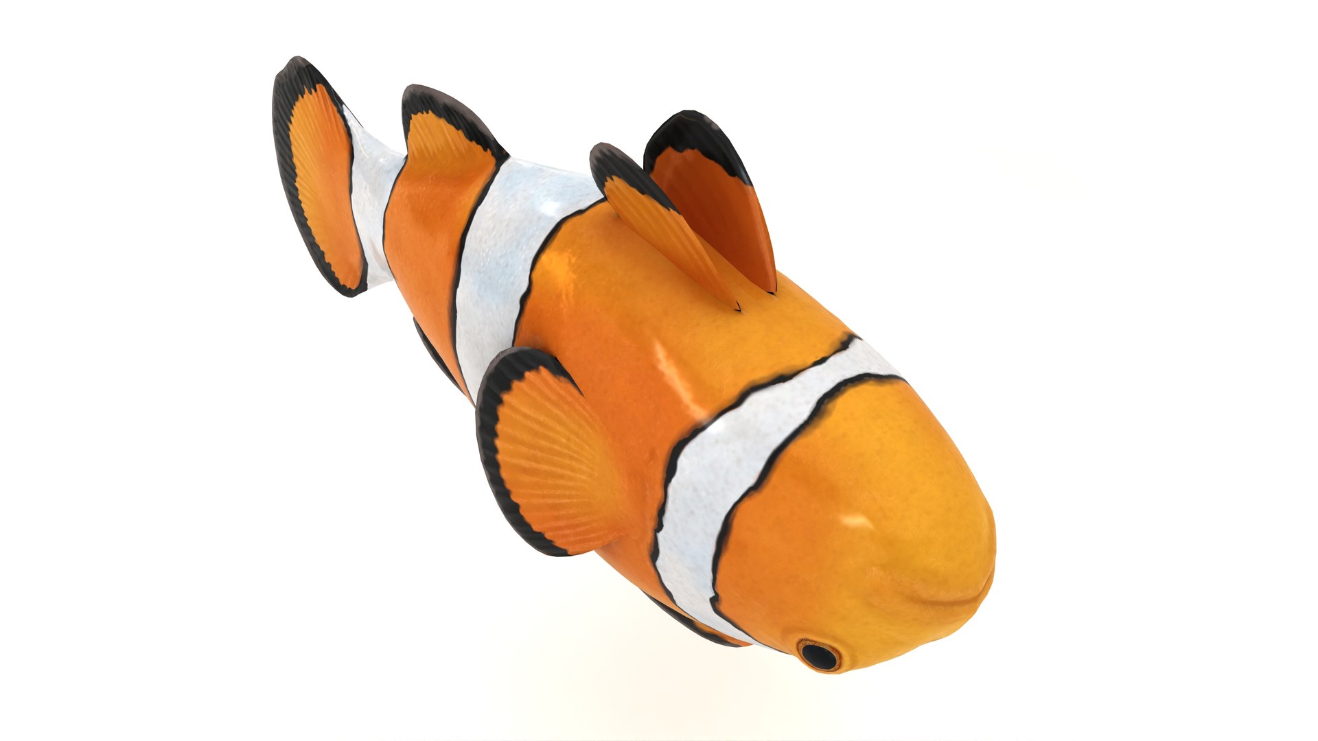 3D Clown Fish - TurboSquid 2342770