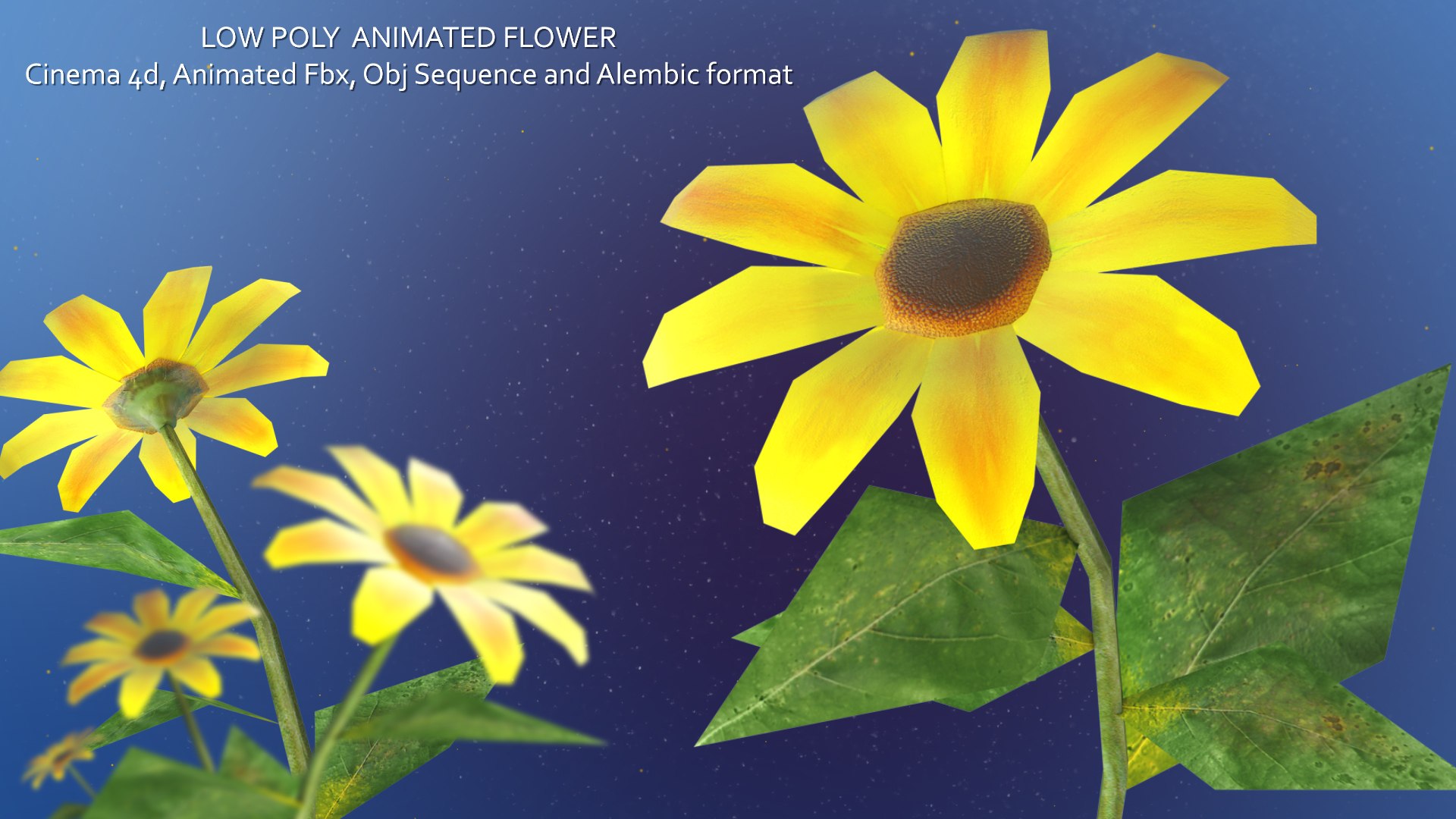 Low Poly Animated Sun Flower 3D Model - TurboSquid 2082273