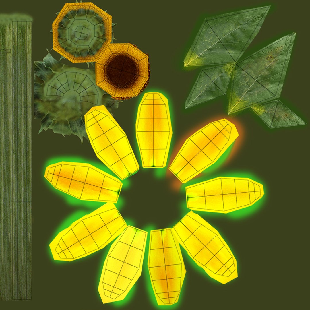 Low Poly Animated Sun Flower 3D Model - TurboSquid 2082273