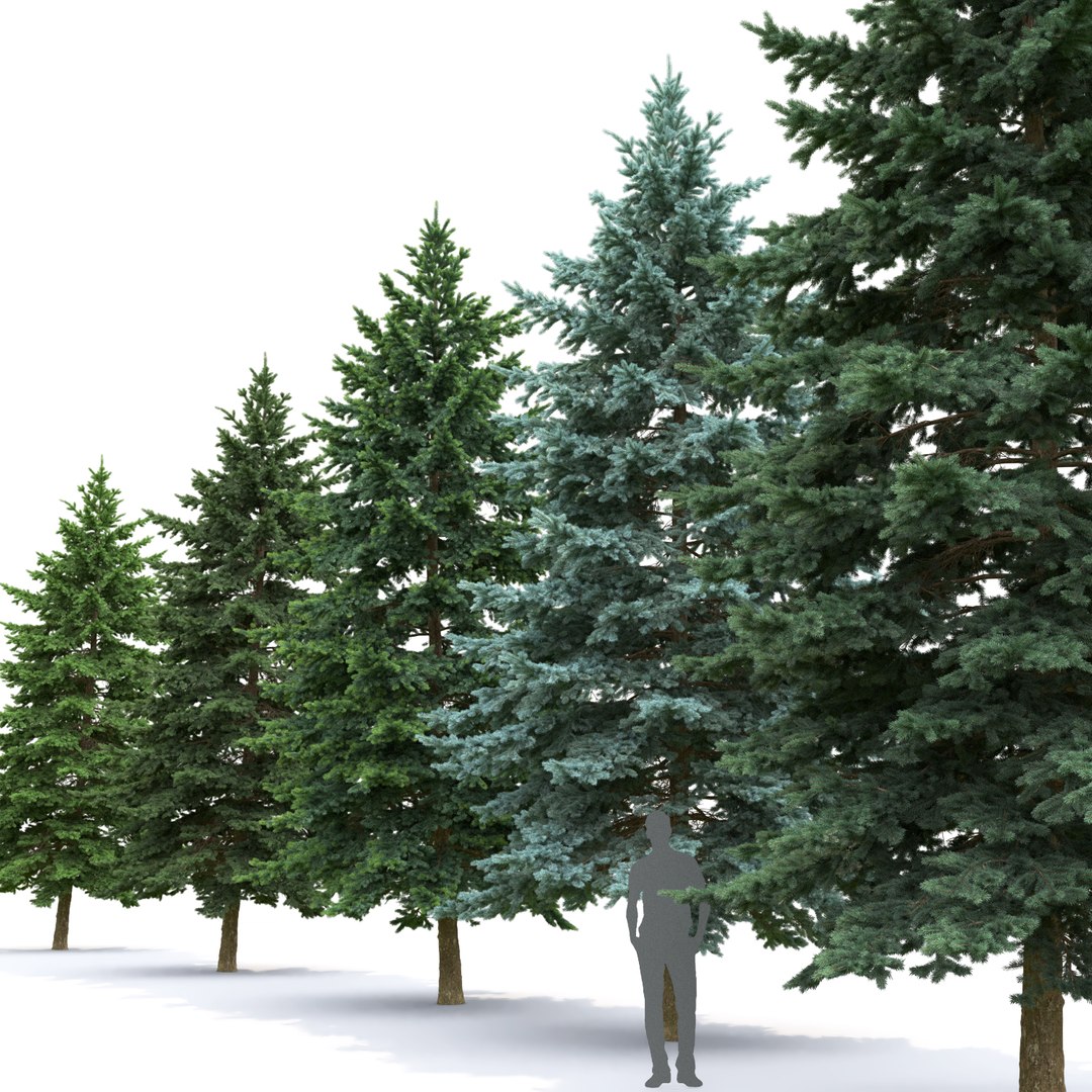 3D Pack Realistic Trees - TurboSquid 1500881