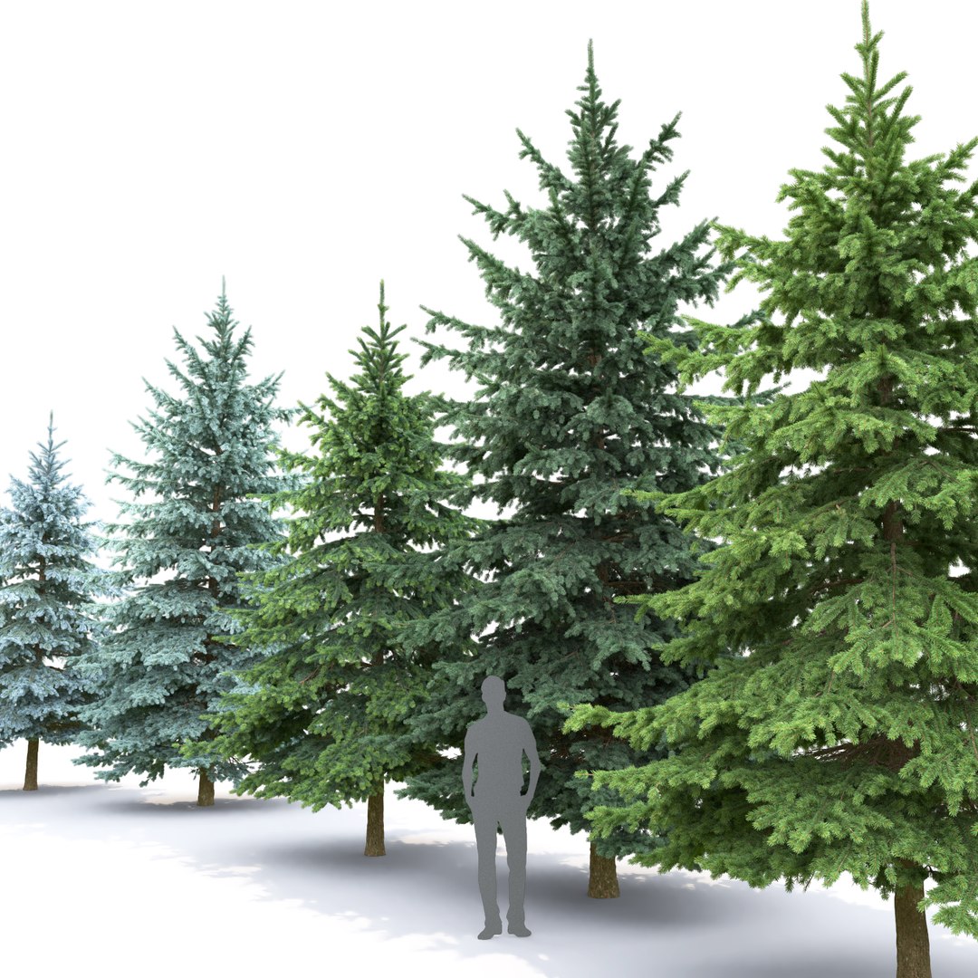 3D Pack Realistic Trees - TurboSquid 1500881