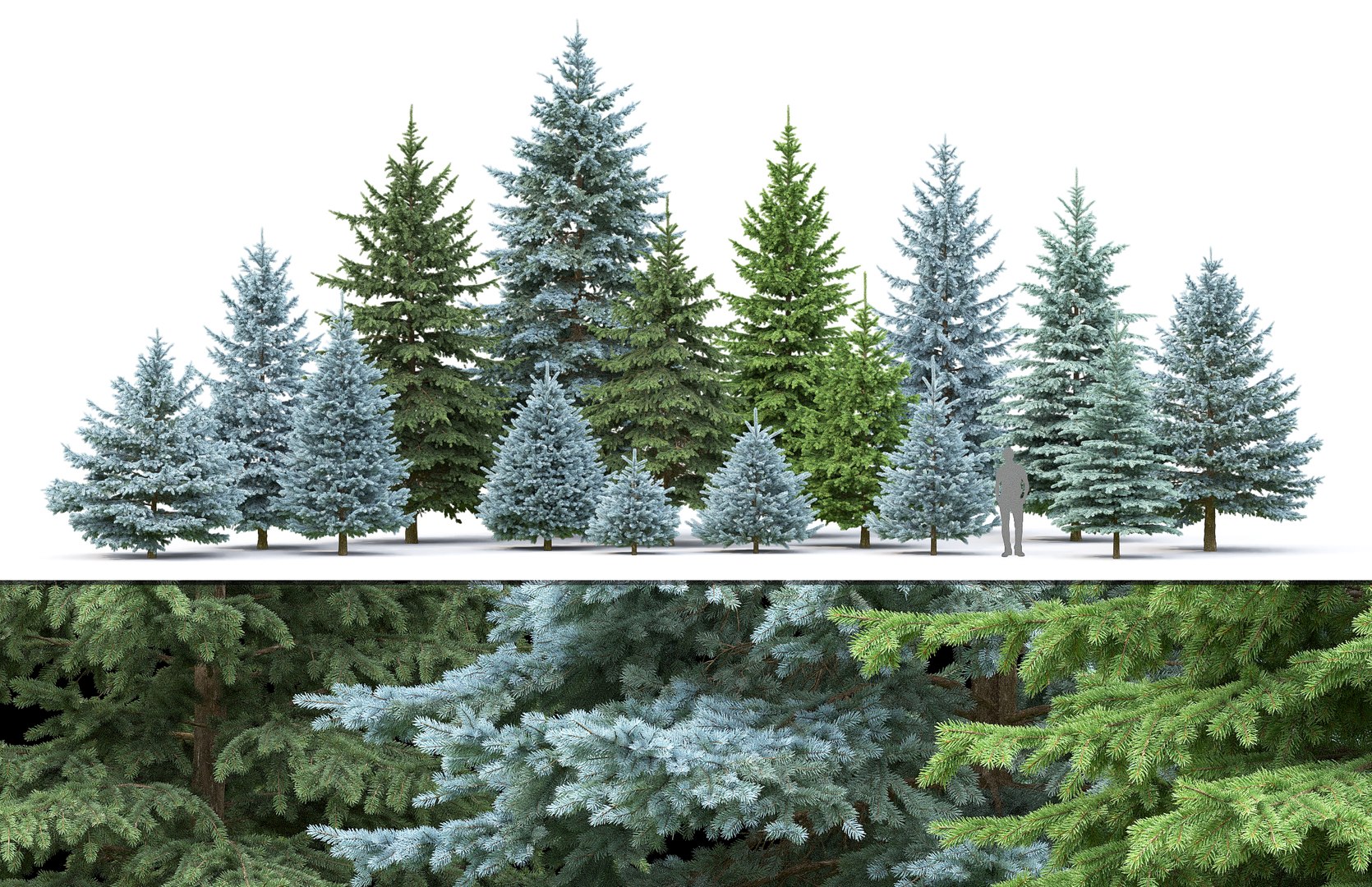 3D Pack Realistic Trees - TurboSquid 1500881