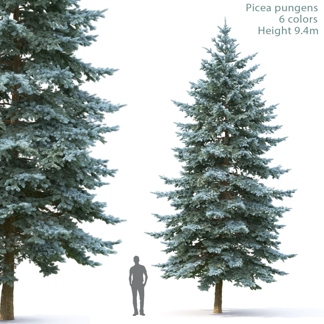 3D Pack Realistic Trees - TurboSquid 1500881