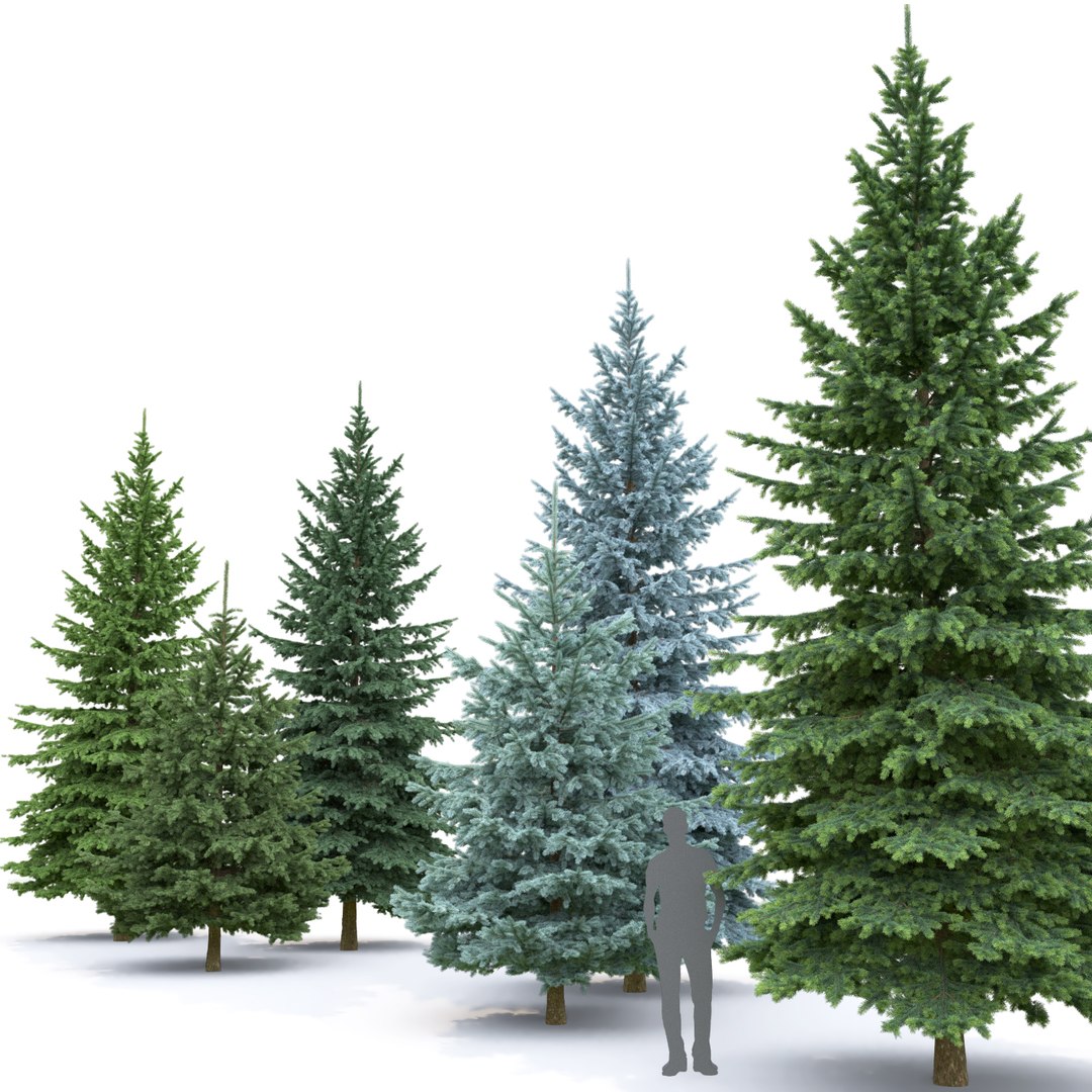 3D Pack Realistic Trees - TurboSquid 1500881