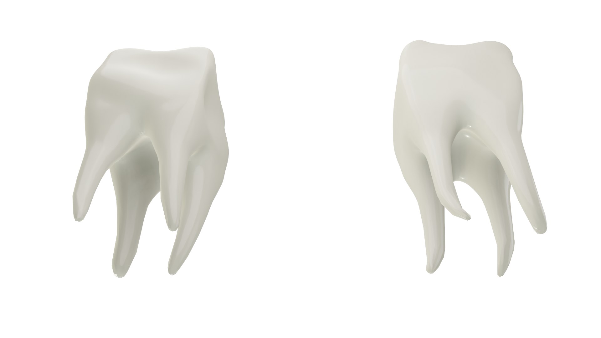 Molar 3D Model - TurboSquid 2138835