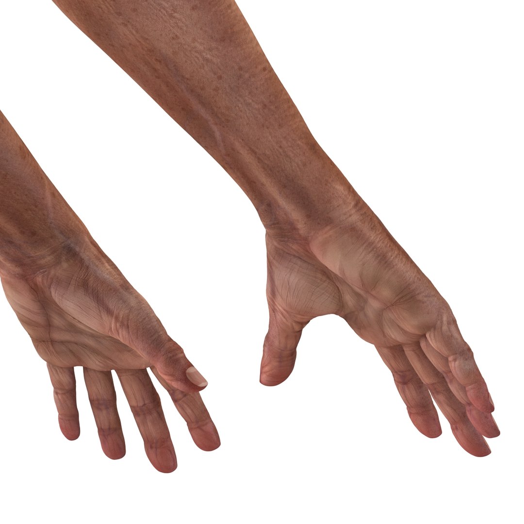 3d Old Man Hands Model