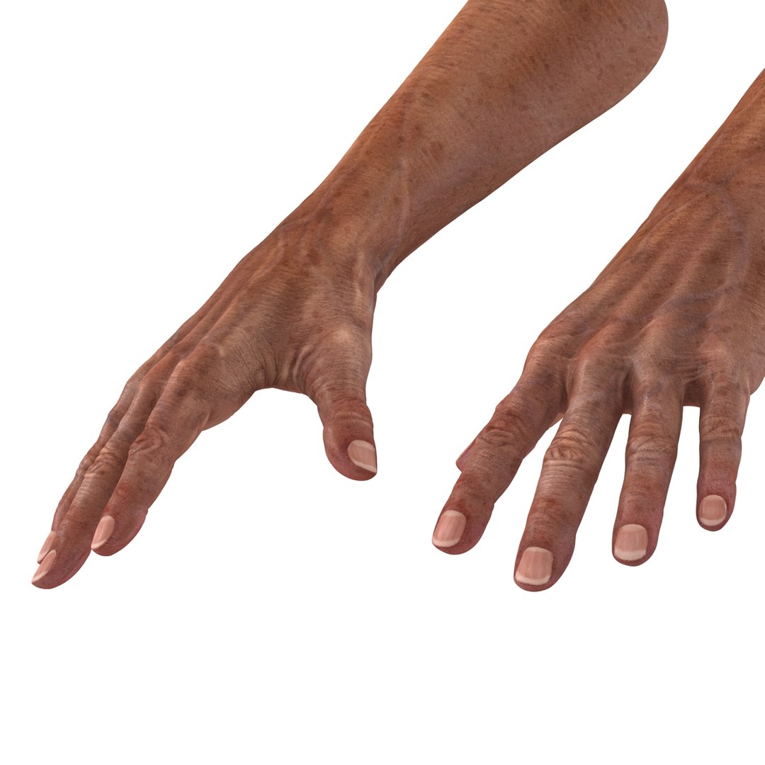 3d Old Man Hands Model