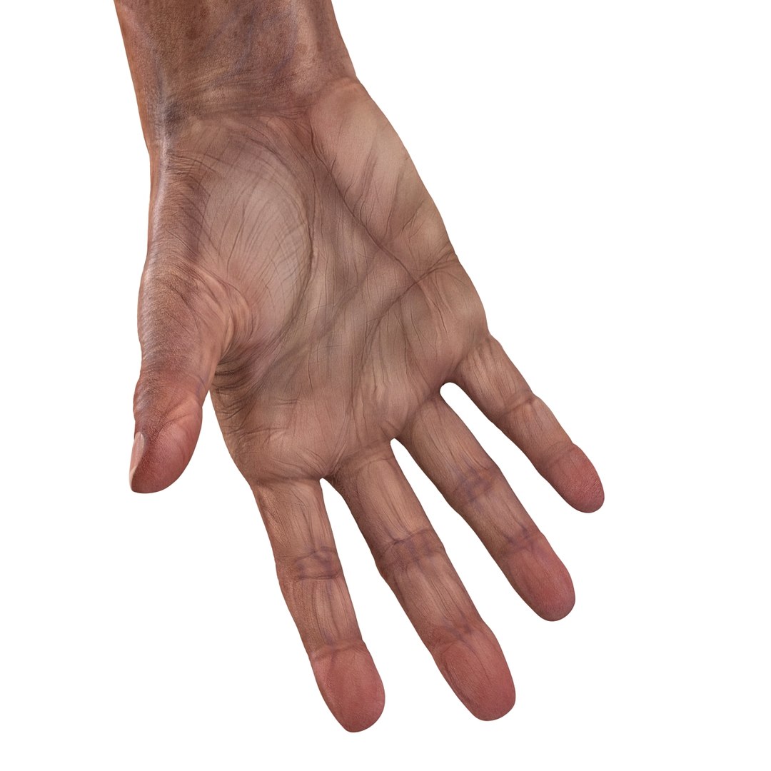 3d Old Man Hands Model