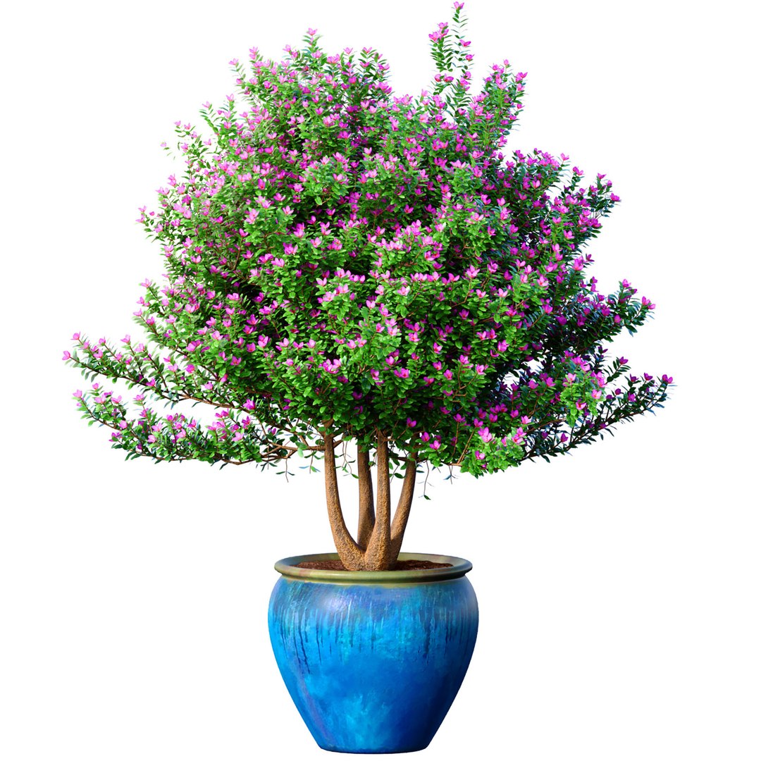 3D Model Decorative Garden Tree Potted Decoration Provence Style ...