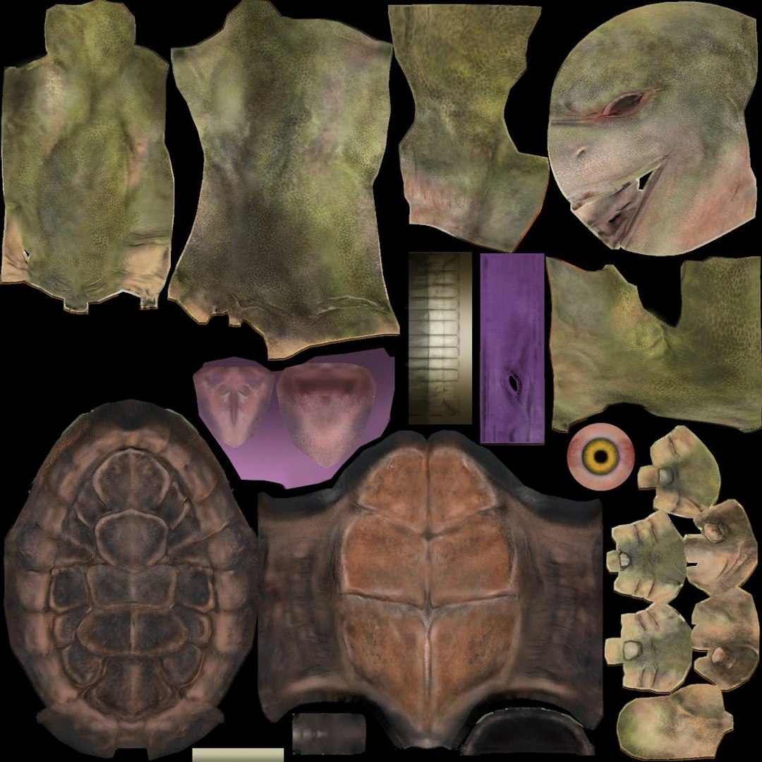 3D TMNT 6 In 1 PACK Models - TurboSquid 2362745