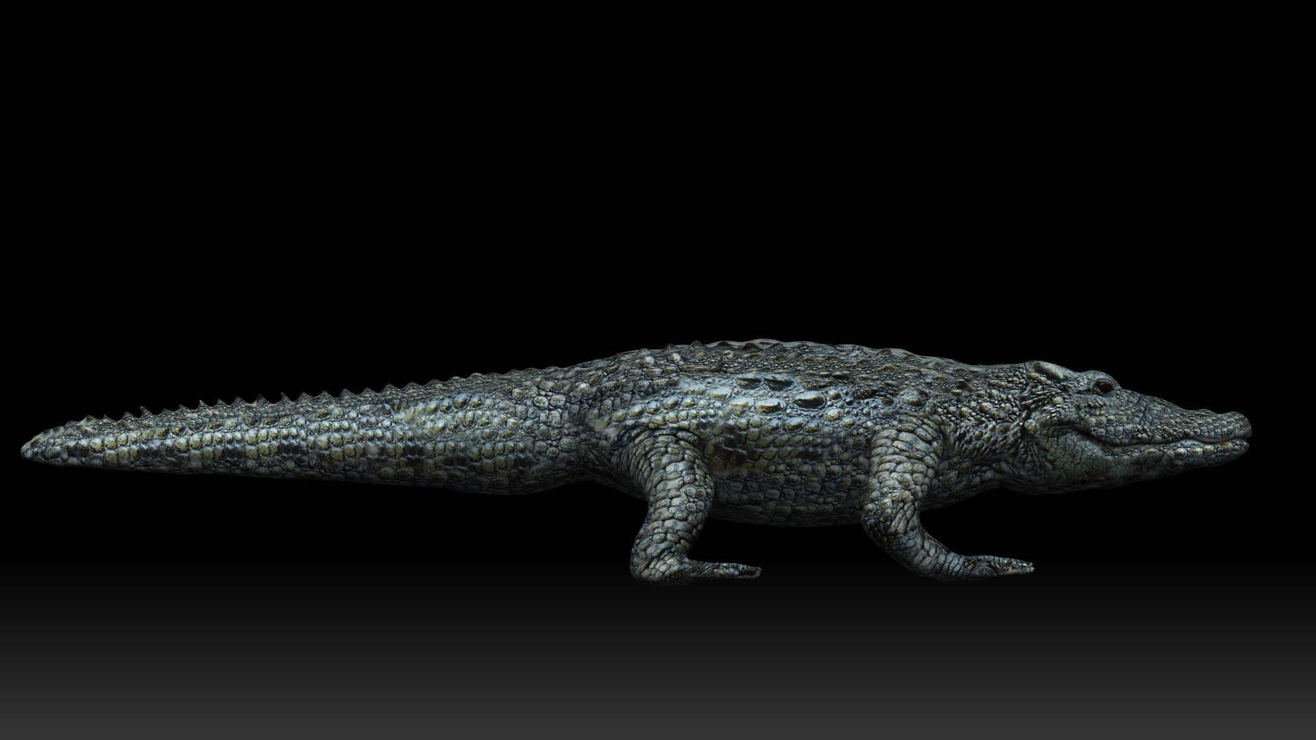 Crocodile Model - TurboSquid 1737413