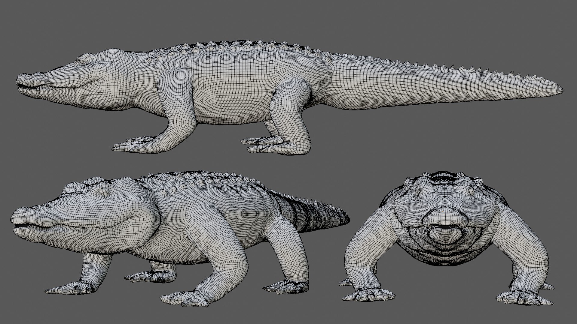 Crocodile Model - TurboSquid 1737413