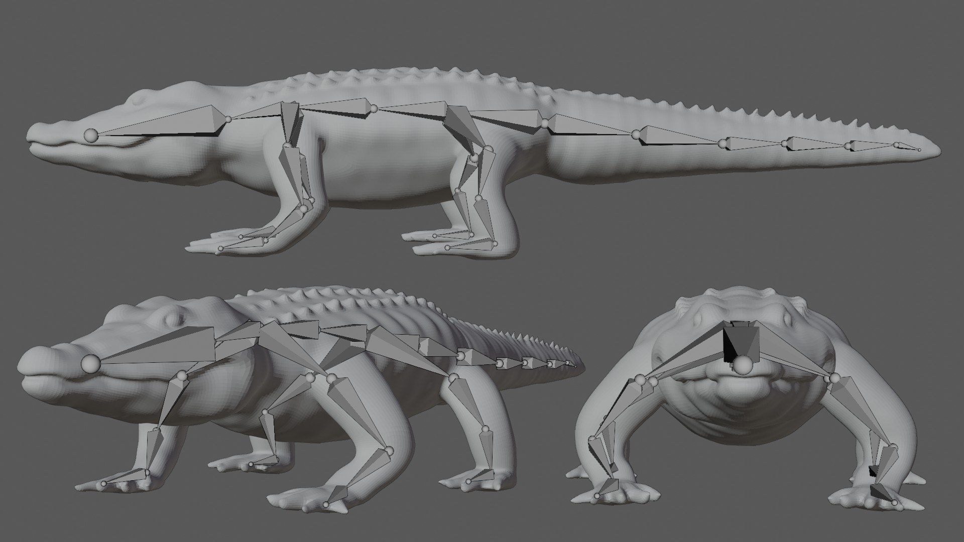 Crocodile Model - TurboSquid 1737413