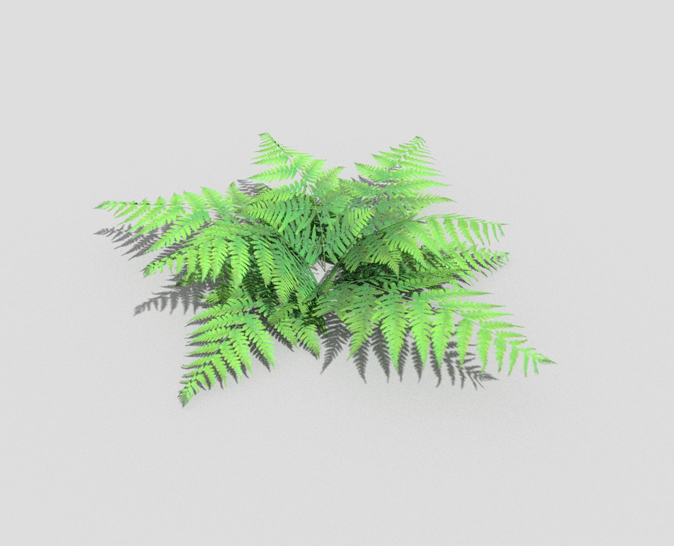 3d Fern Games Model