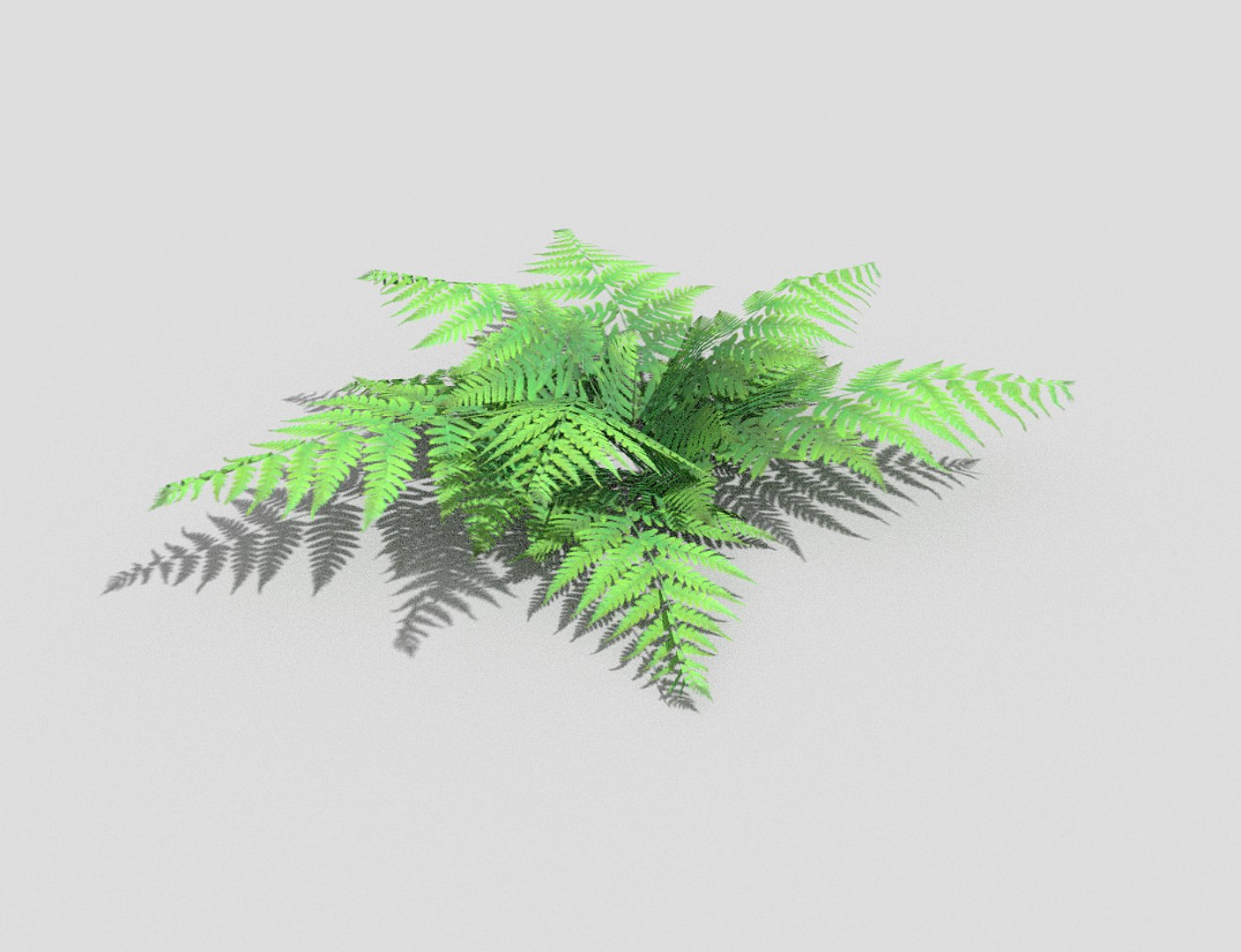 3d Fern Games Model
