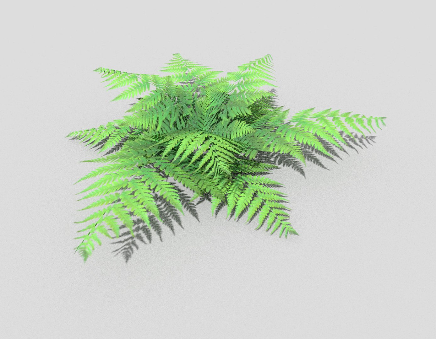 3d Fern Games Model