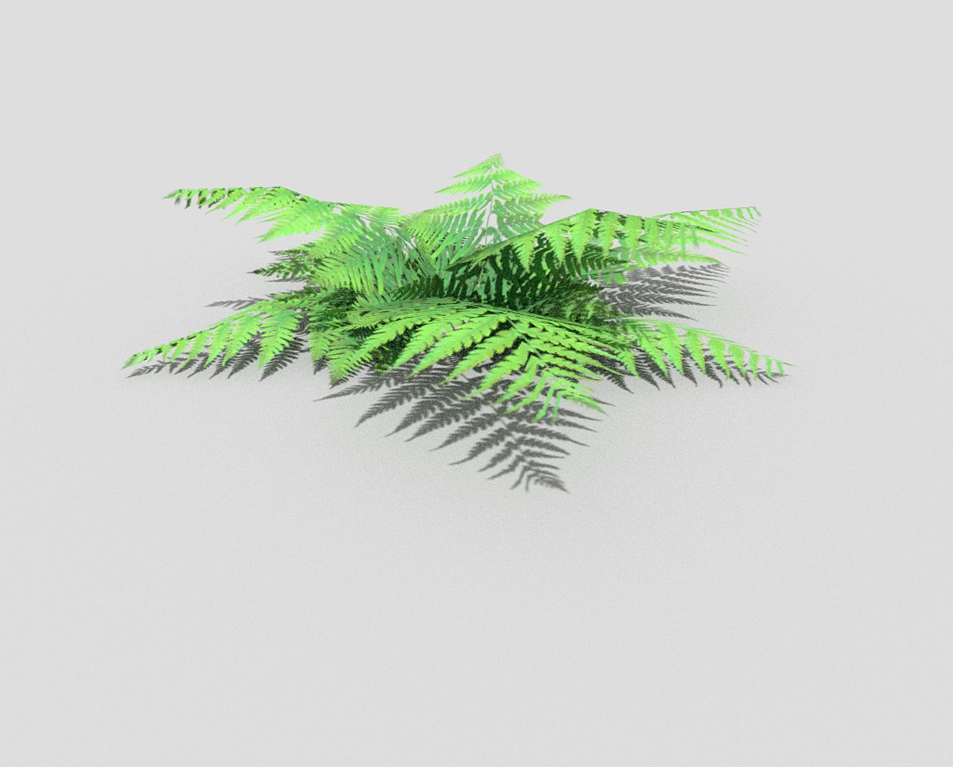 3d Fern Games Model