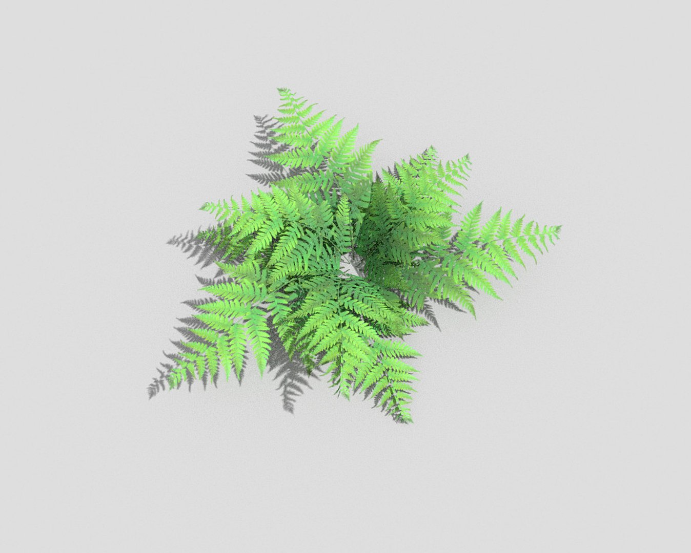 3d Fern Games Model