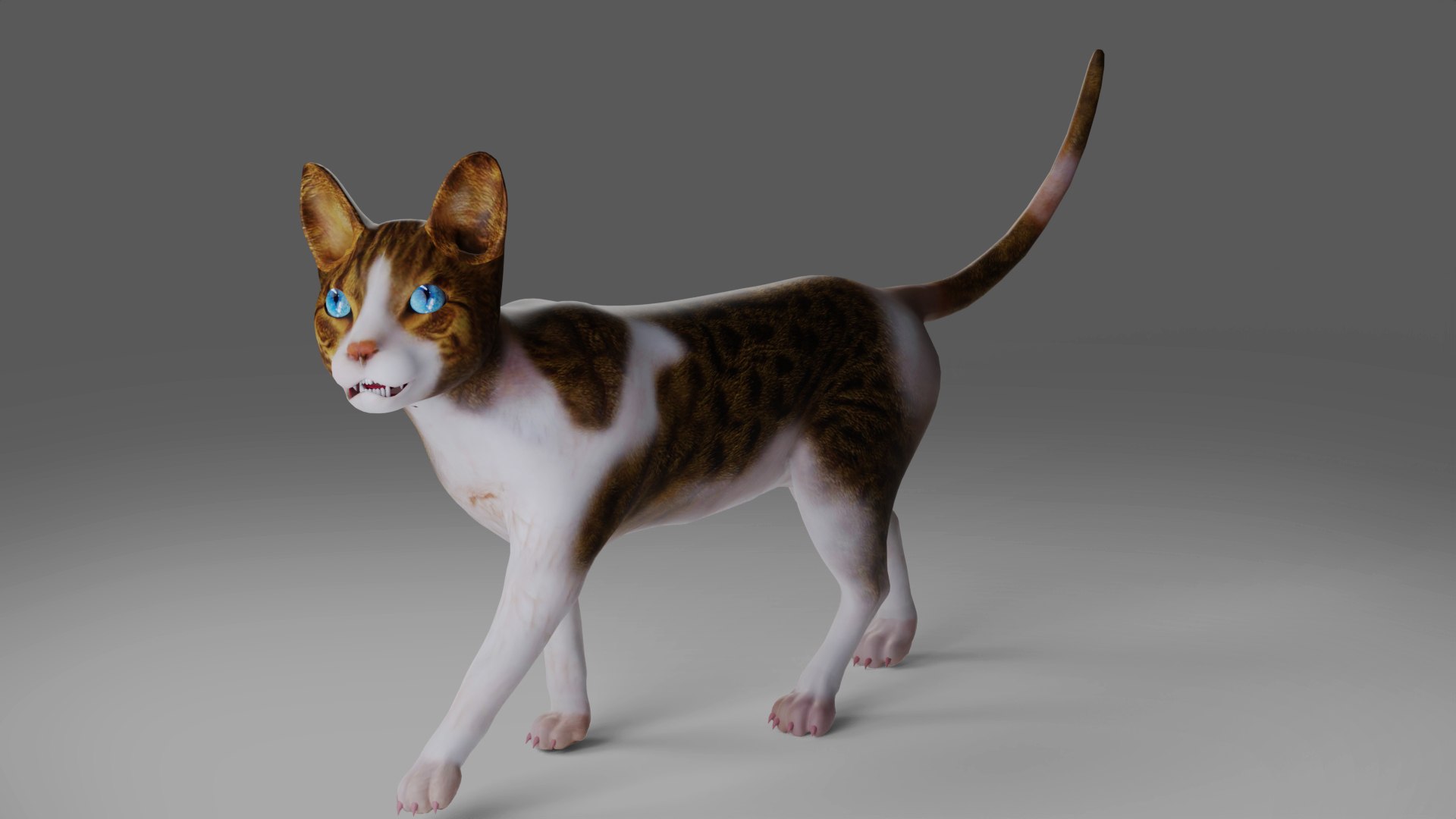 3D Calico Cat Rigged And Animated V3 - TurboSquid 1984954