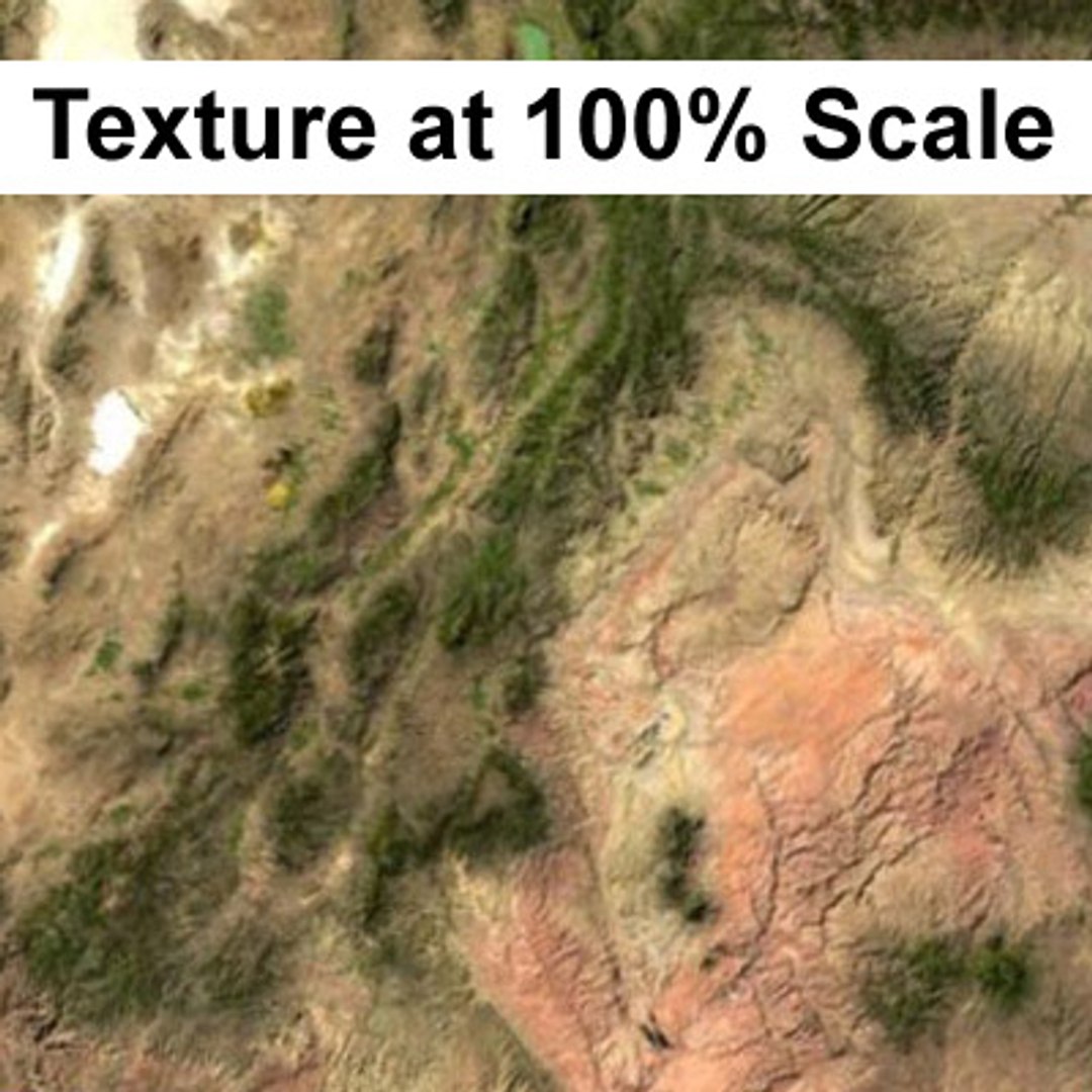 Topographic United States 3d Model