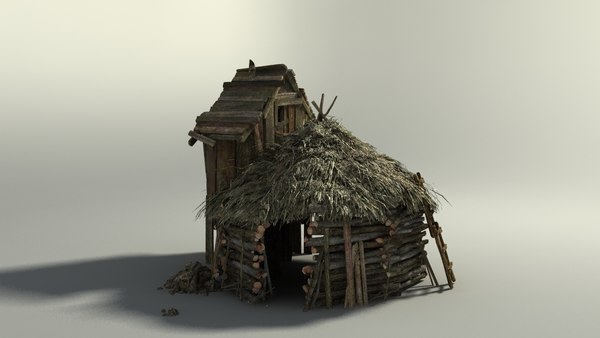 3d shack model
