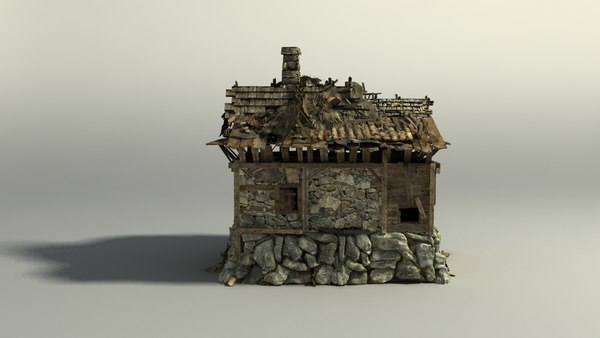 3d shack model