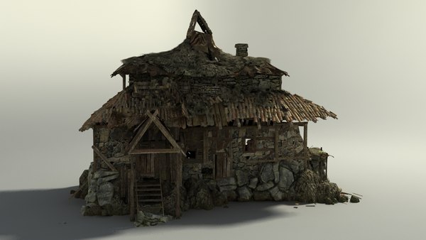 3d shack model