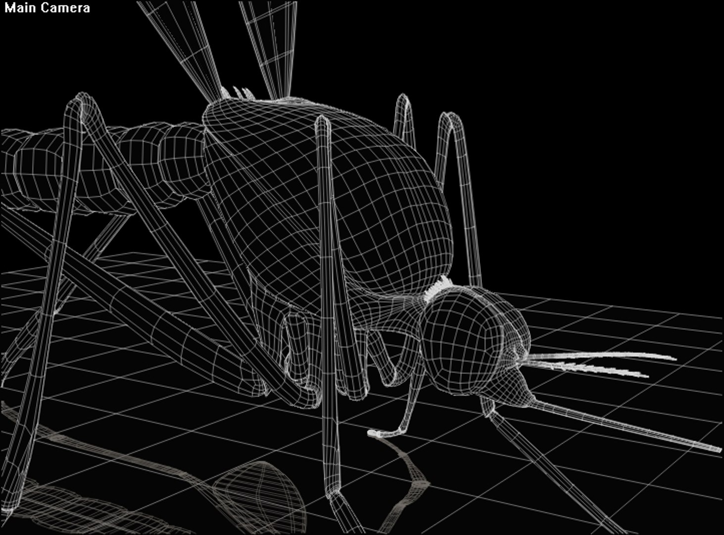 Mosquito 3d Model