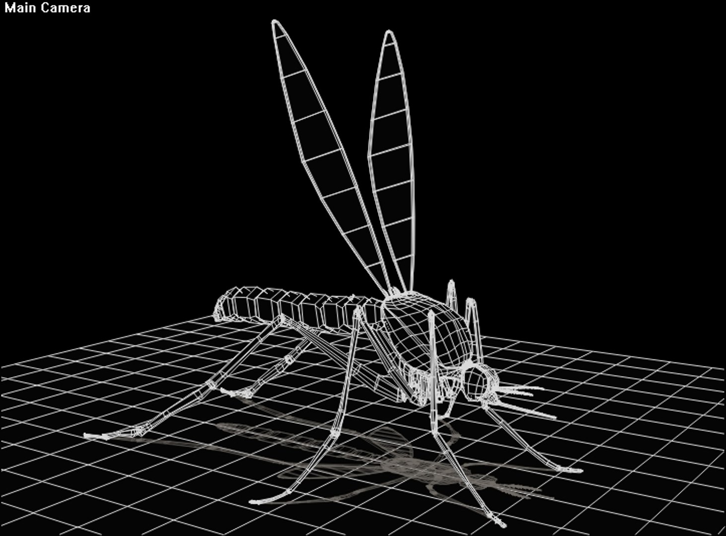 Mosquito 3d Model