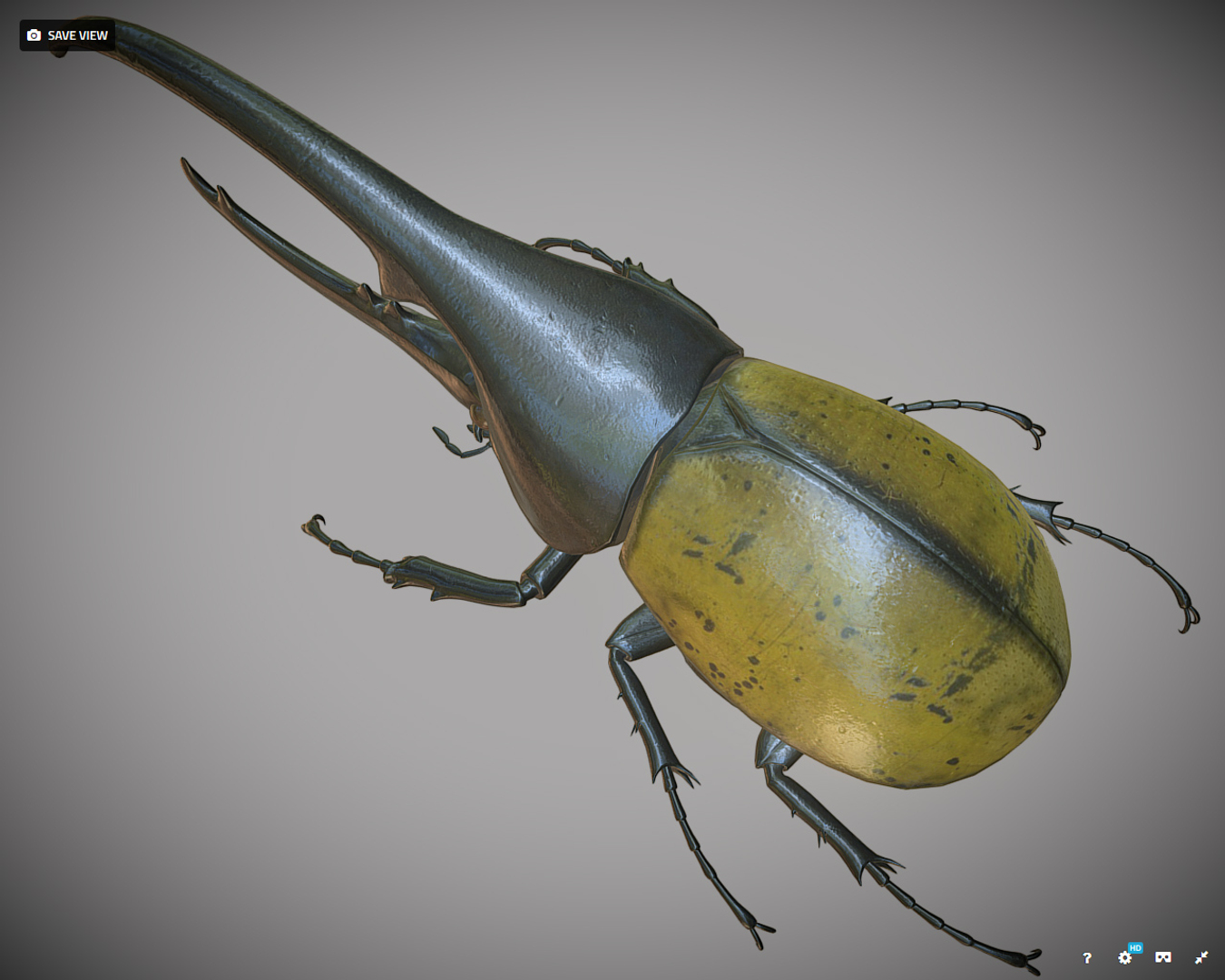 Besouro de Hércules Modelo 3D - TurboSquid 1058034