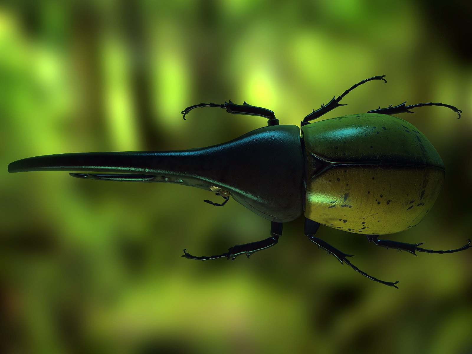 Besouro de Hércules Modelo 3D - TurboSquid 1058034