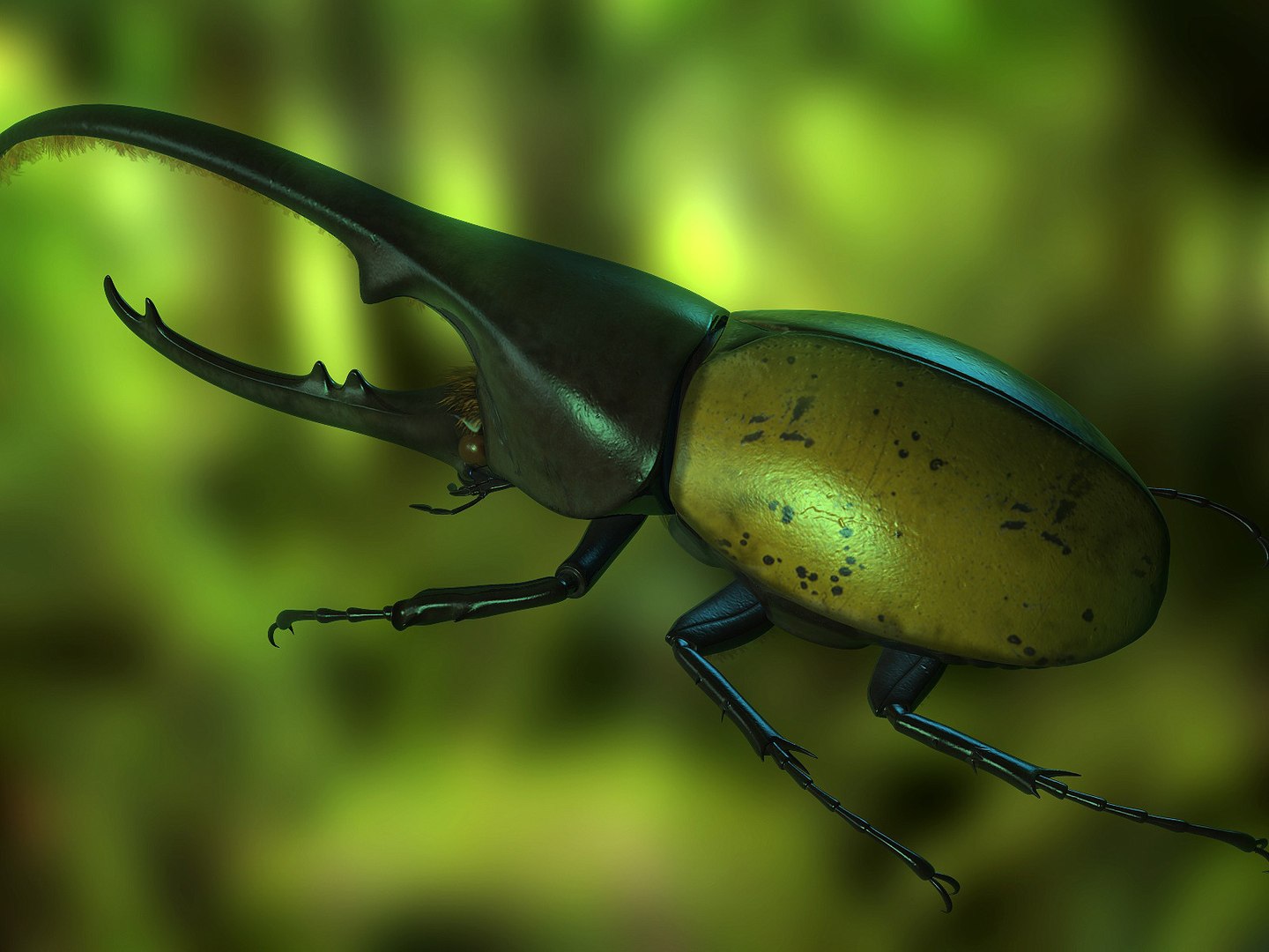 hercules beetle 3d model