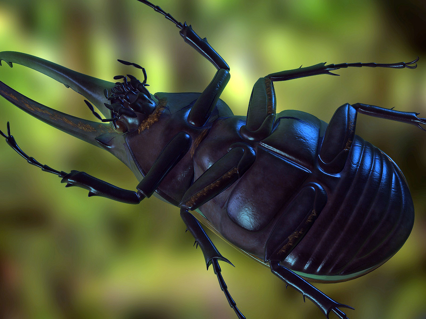 Besouro de Hércules Modelo 3D - TurboSquid 1058034