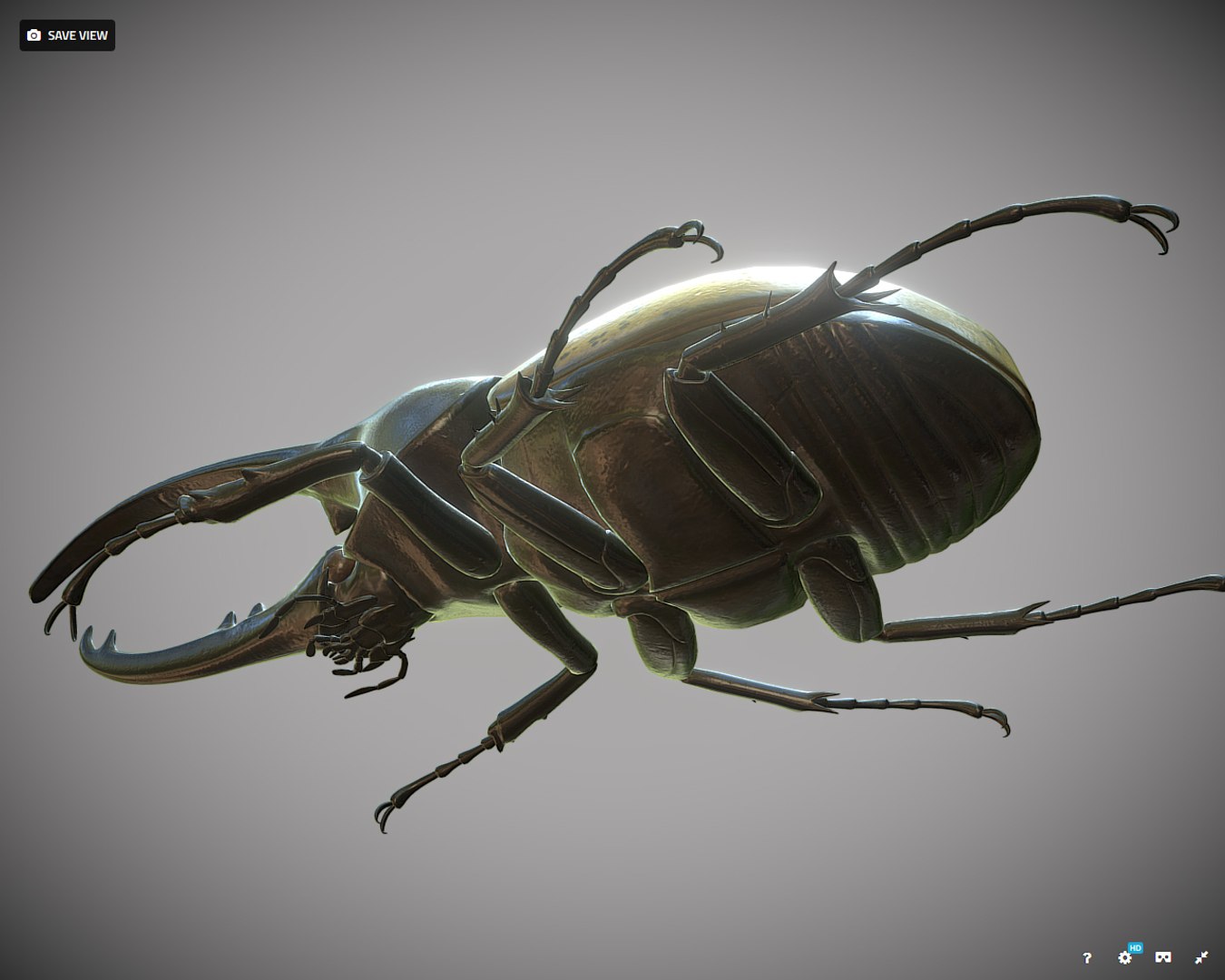 hercules beetle 3d model
