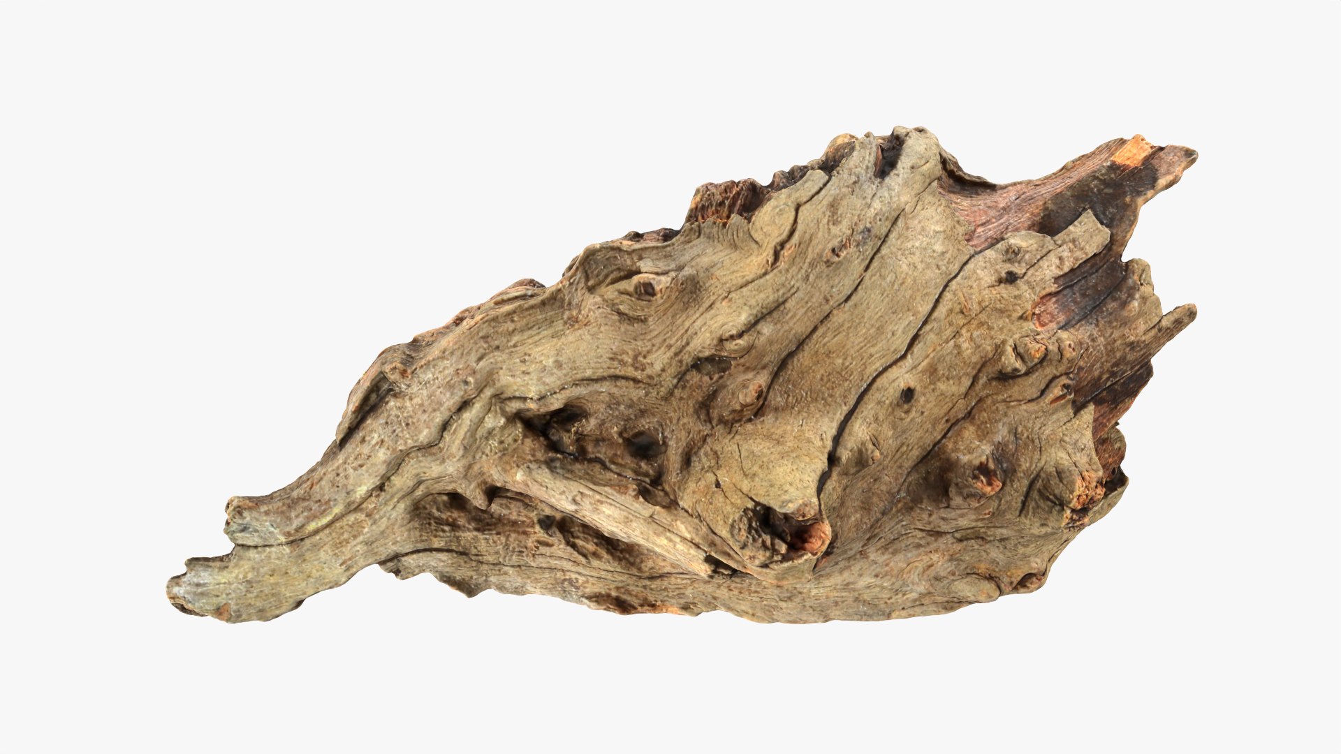 Tree Trunk Piece 10 3D Model - TurboSquid 2501705