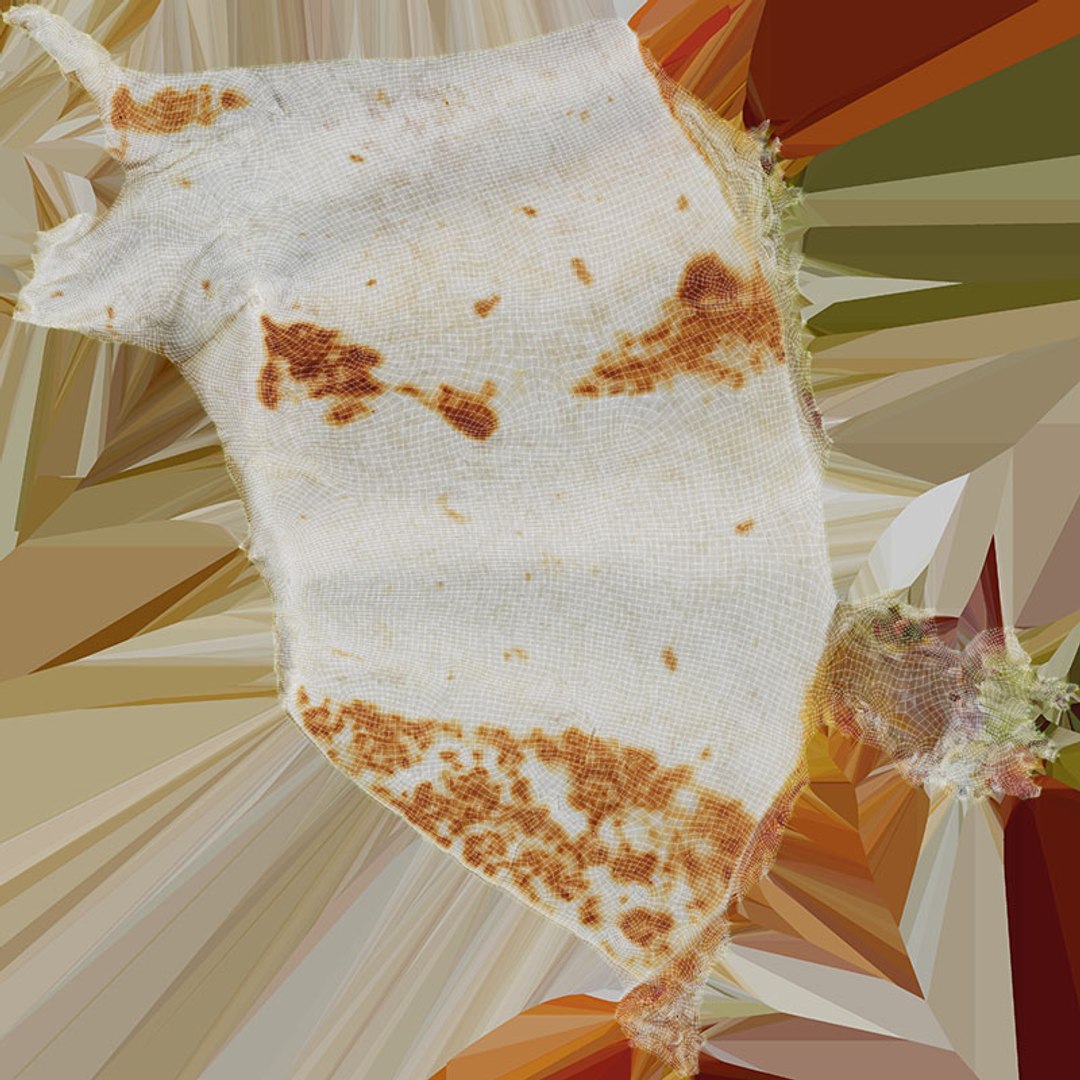 Burrito Collection 3D Model - TurboSquid 2293037