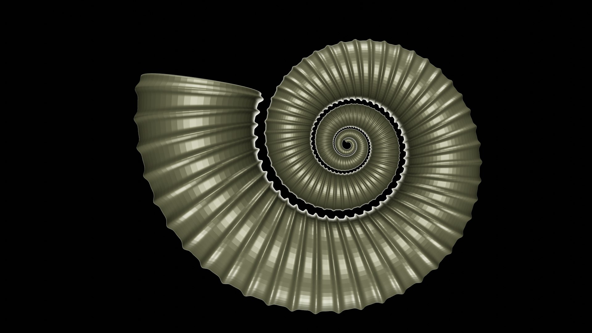 Crioceratites Sp. Ammonoid Heteromorph 3D Model - TurboSquid 1723978