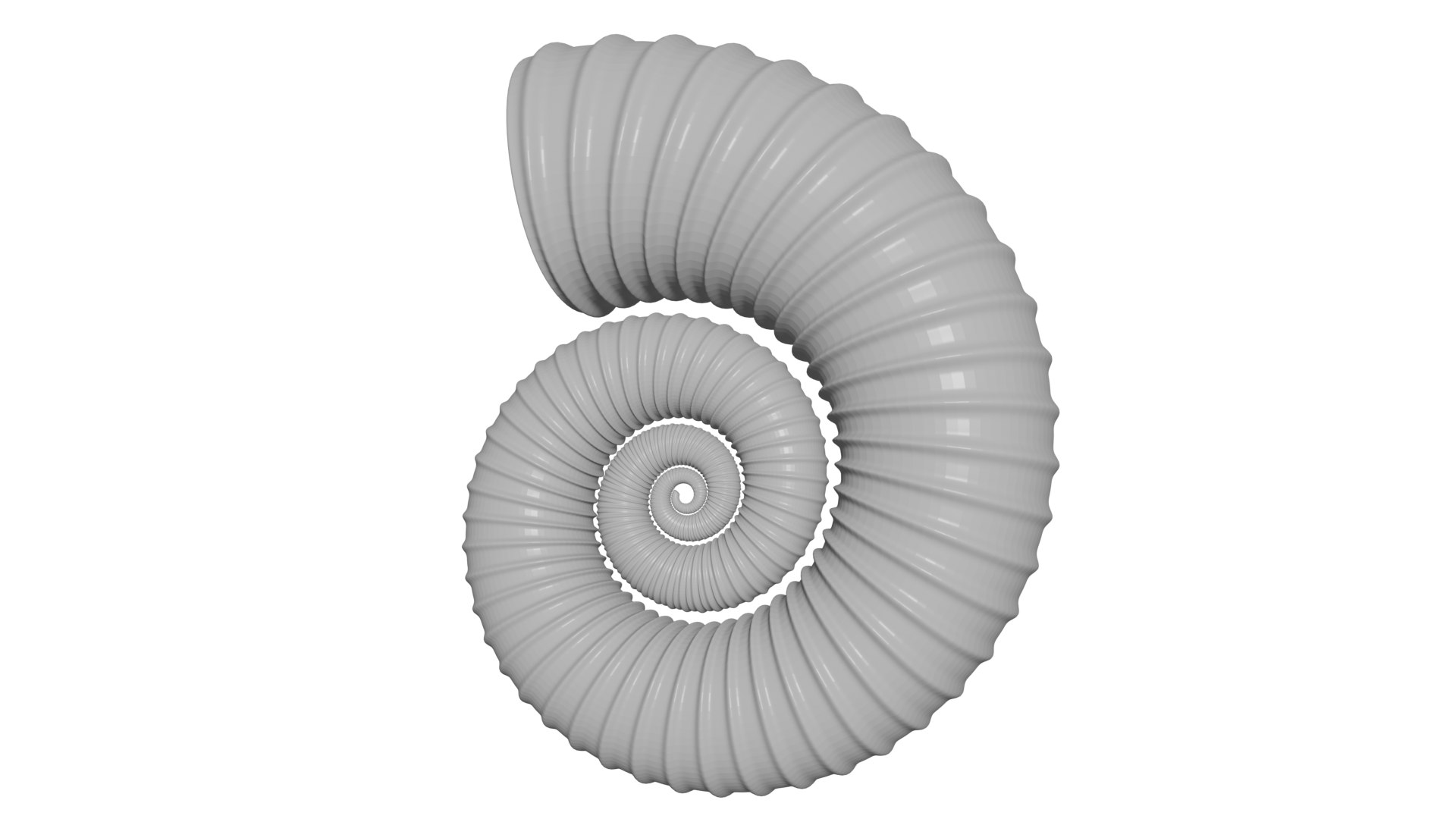 Crioceratites Sp. Ammonoid Heteromorph 3D Model - TurboSquid 1723978