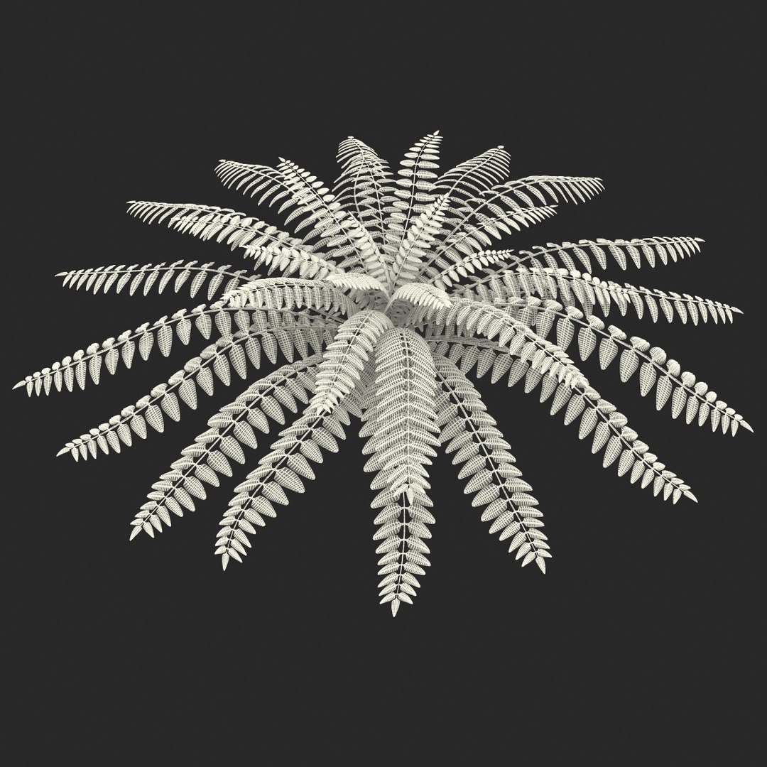fern 2 3ds