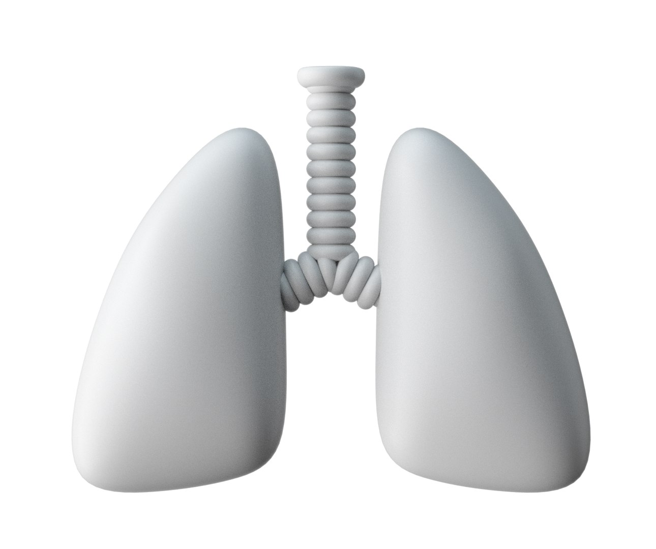 Lungs Anatomy 3D Model - TurboSquid 1493671