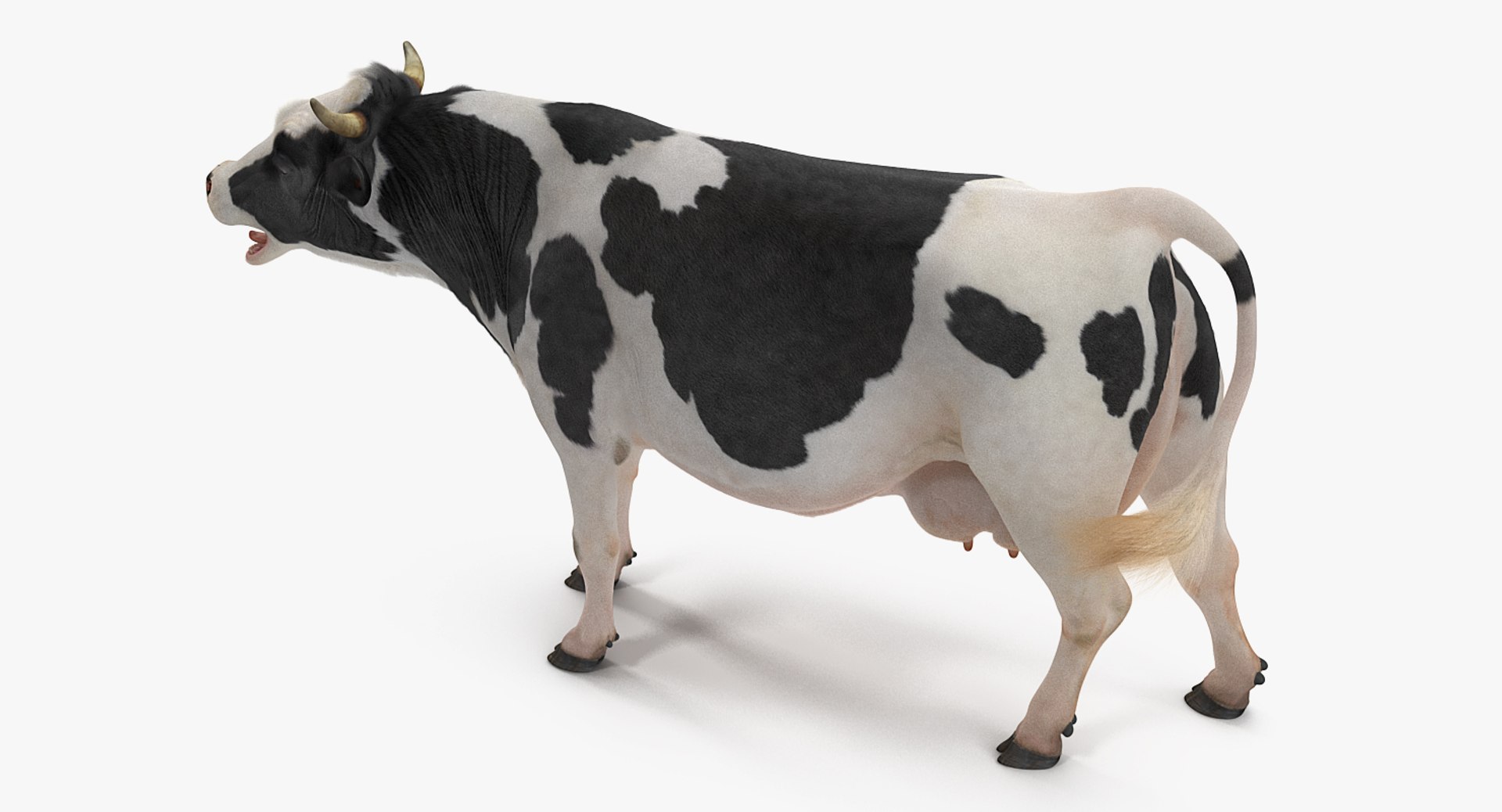 Cow Walking Animal Rigged 3D Model - TurboSquid 1564284