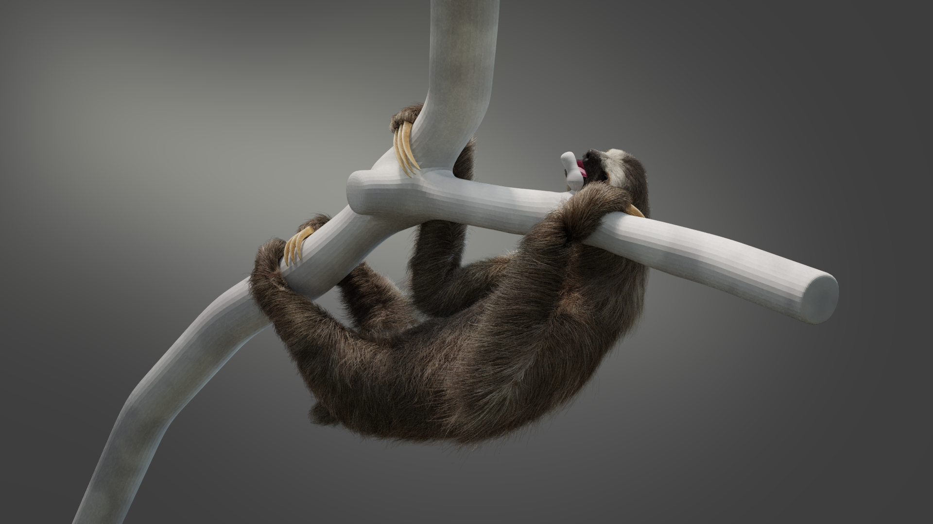 Sloth rigging animation three-toed 3D model - TurboSquid 1646283