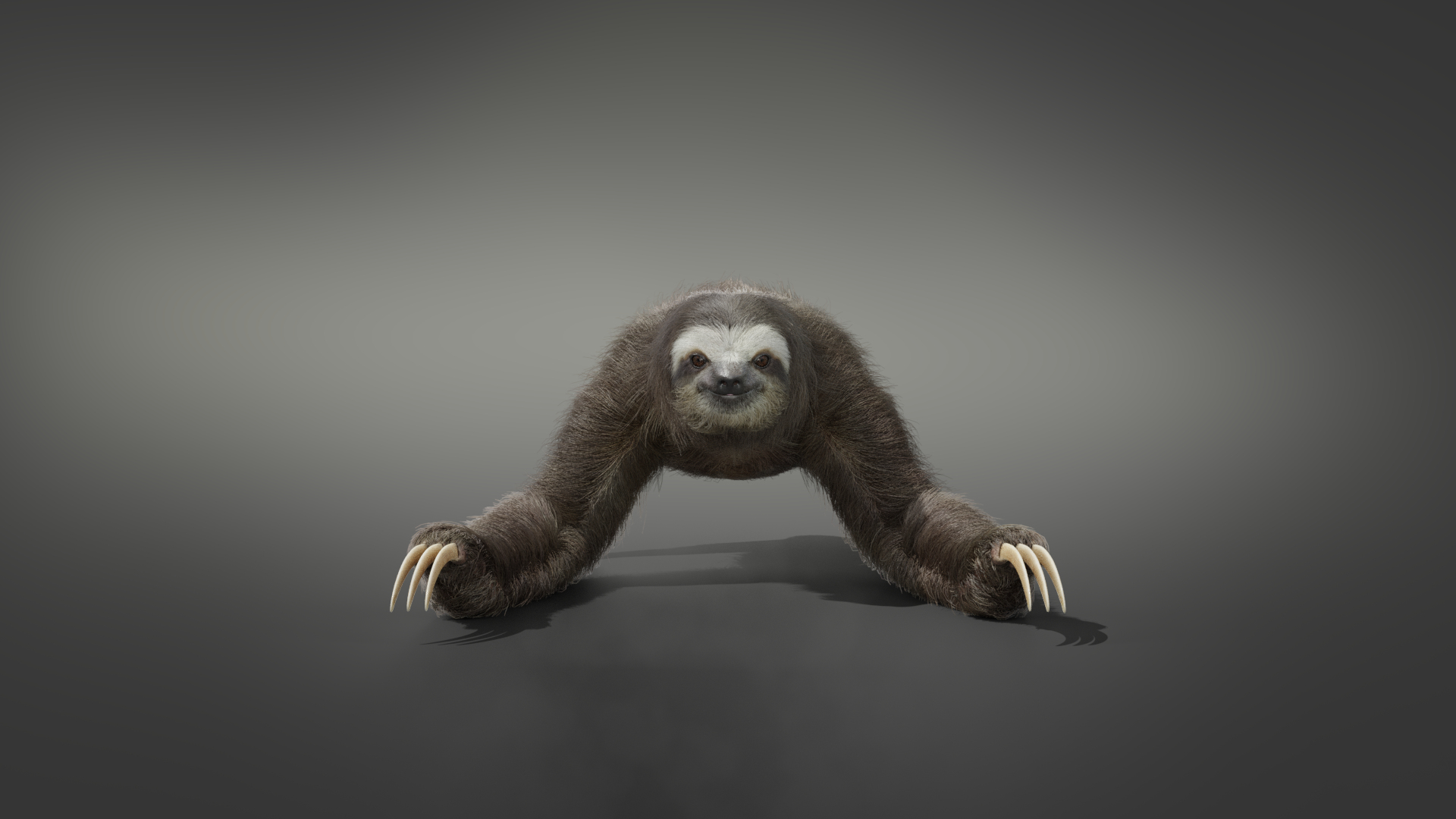 Sloth rigging animation three-toed 3D model - TurboSquid 1646283