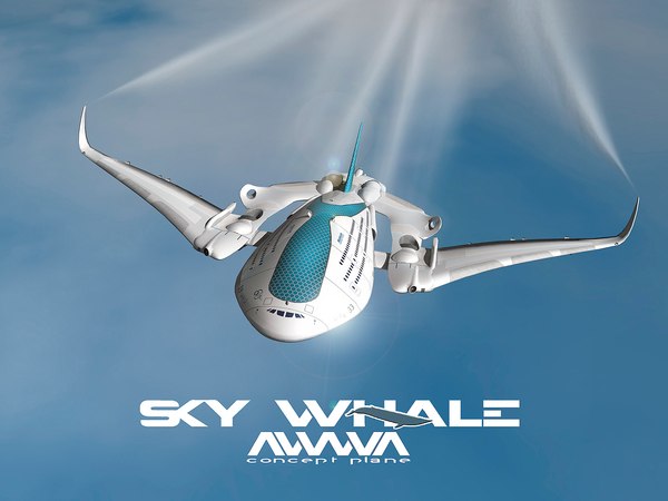 Awwa sky whale concept 3D - TurboSquid 1348887