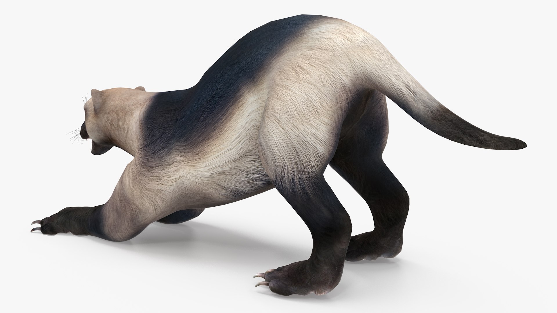 Wolverine Prepares Attack Pose Model - TurboSquid 2131650