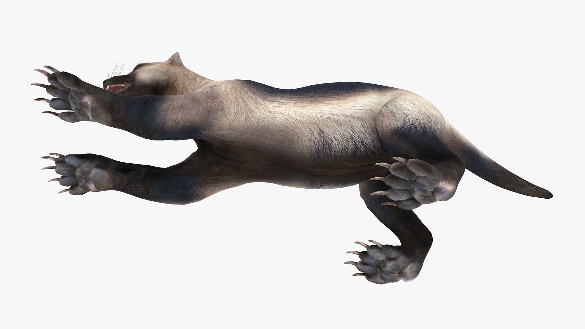 Wolverine Prepares Attack Pose Model - TurboSquid 2131650