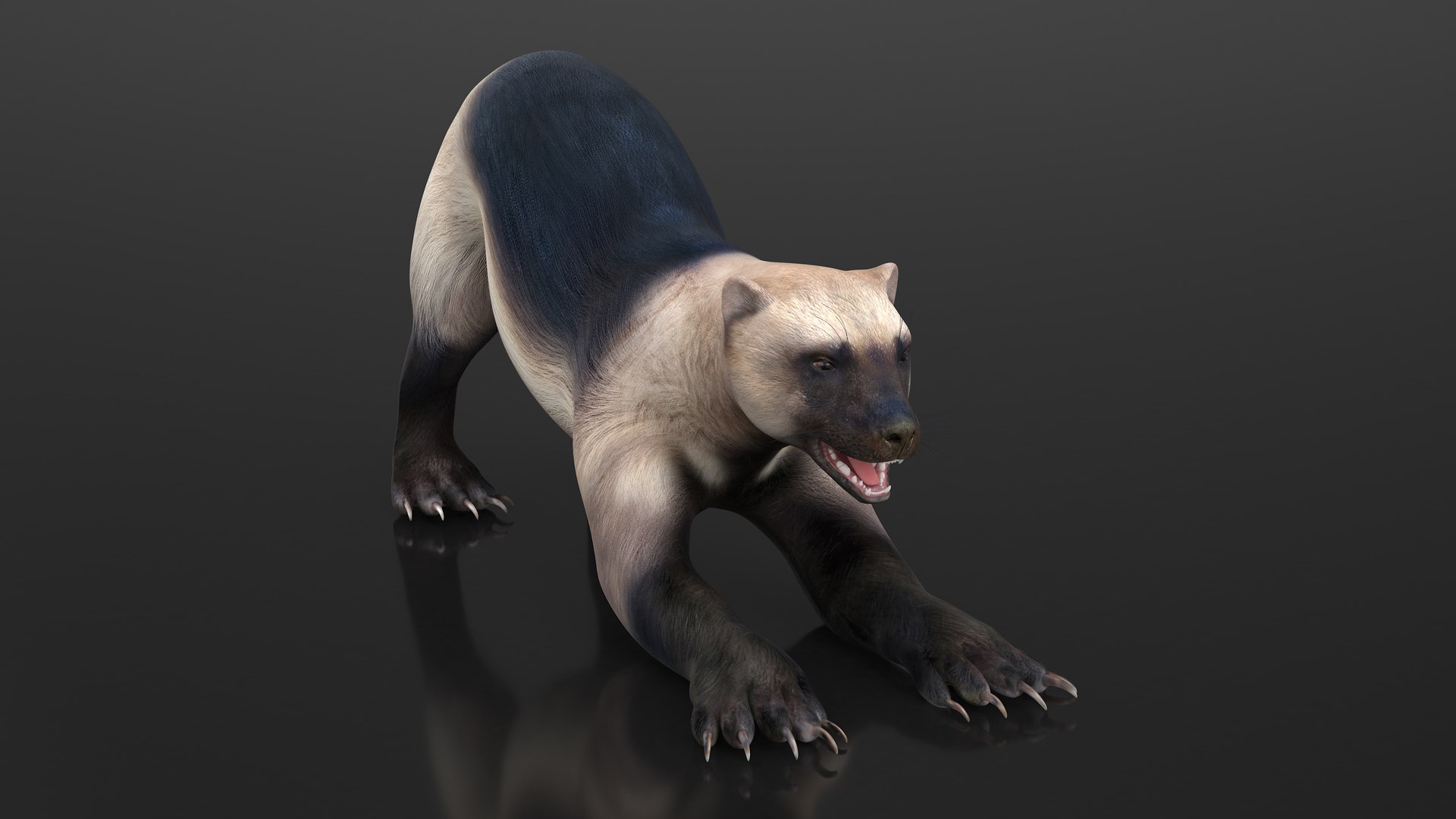 Wolverine Prepares Attack Pose Model - TurboSquid 2131650