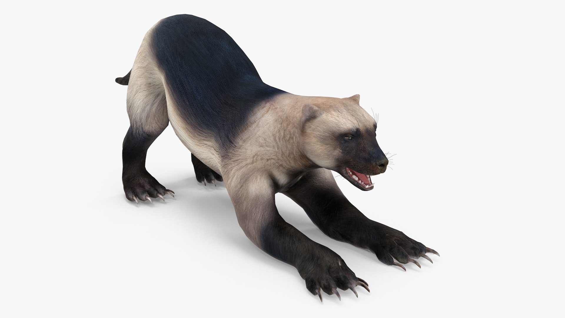 Wolverine Prepares Attack Pose Model - TurboSquid 2131650