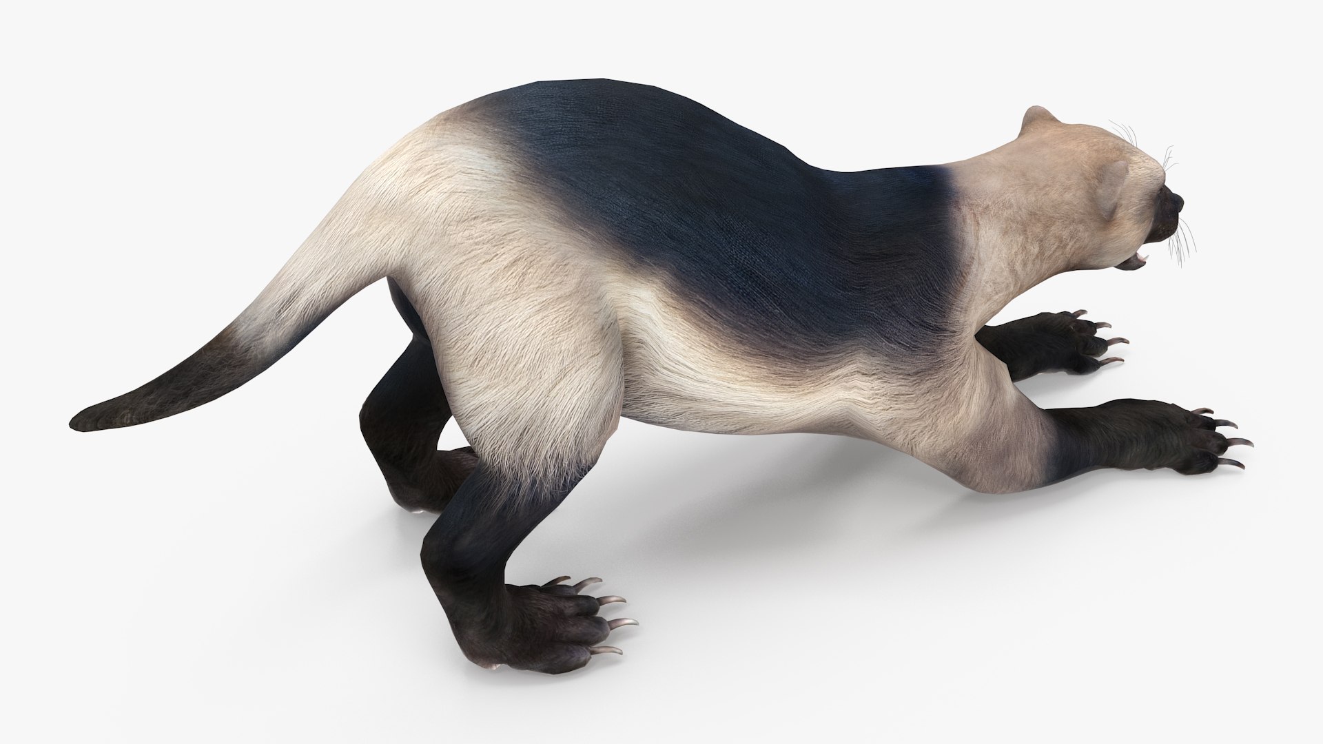 Wolverine Prepares Attack Pose Model - TurboSquid 2131650